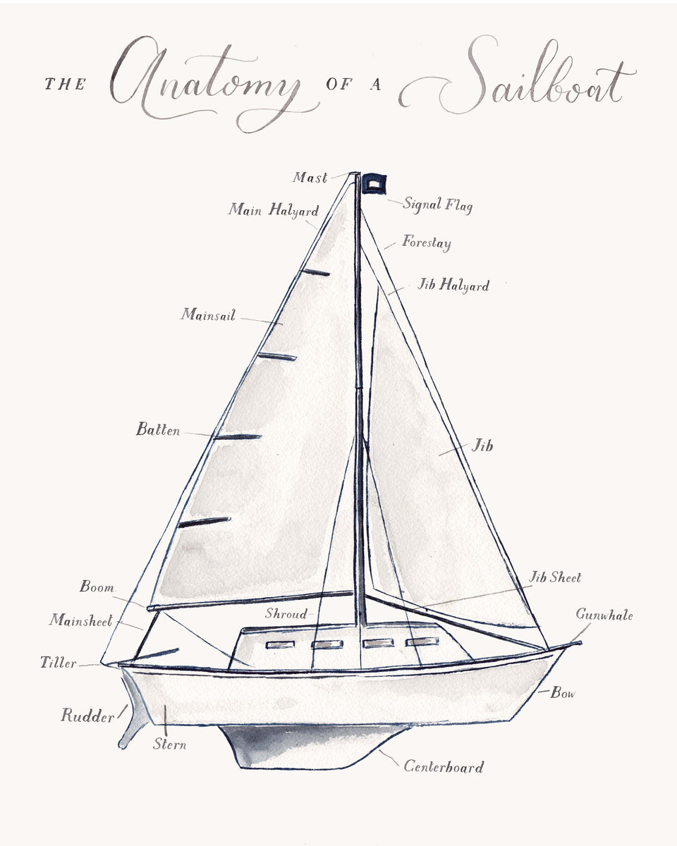 Sailboat Chart Art Print – The Illustrated Life